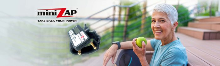 Mikas Elektronik Entwicklungen | Minizap Fragen und Antworten